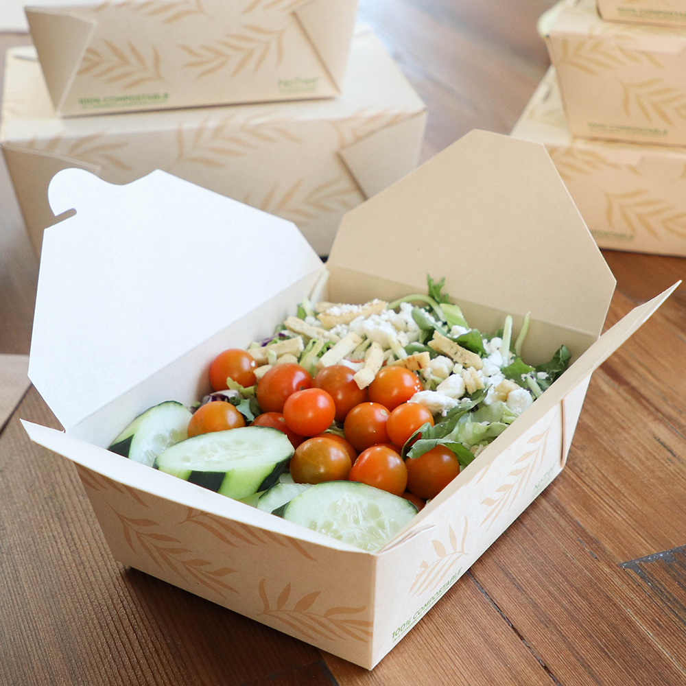 Compostable Take-Out Containers | Eco-Friendly To-Go Boxes in Bulk ...
